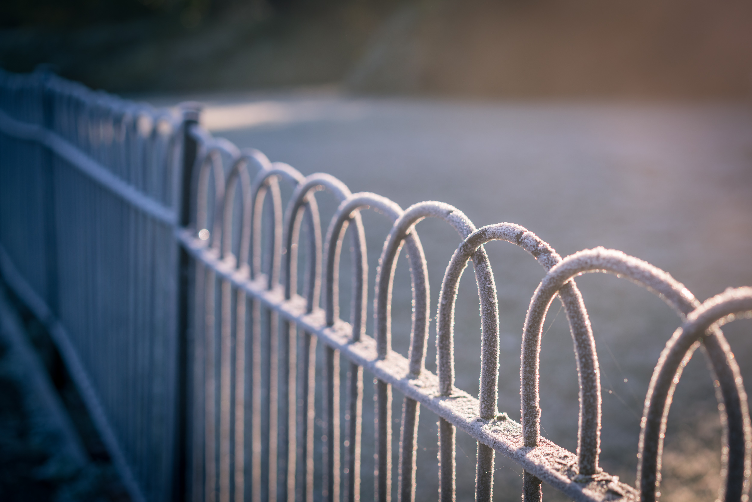 Frosted Fence – A Life In London