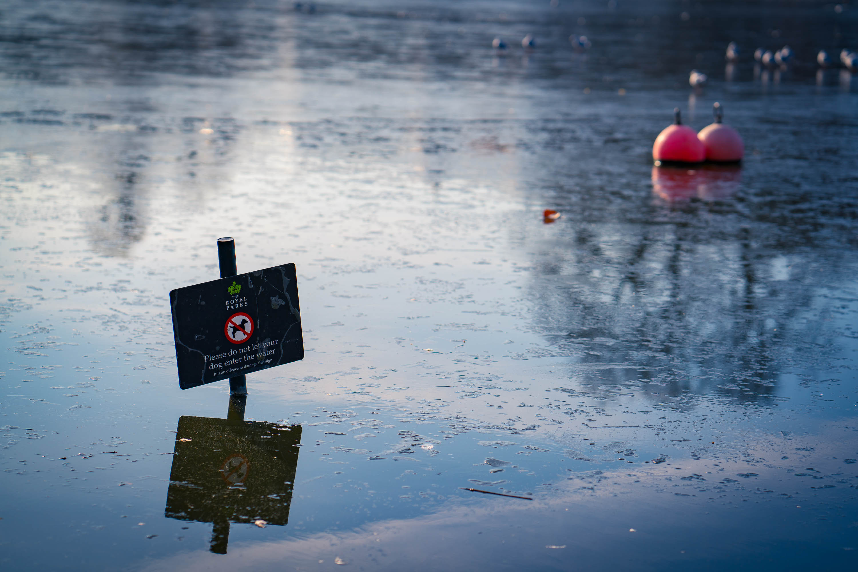 Do not enter the water – A Life In London